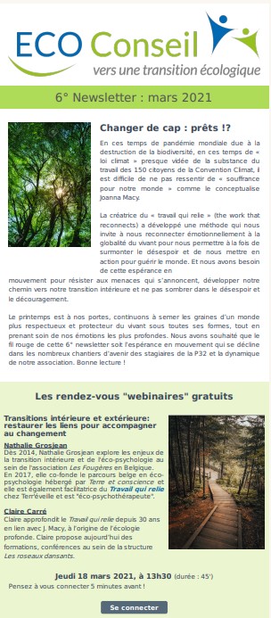 Découvrez nos newsletters ! | ECO-Conseil